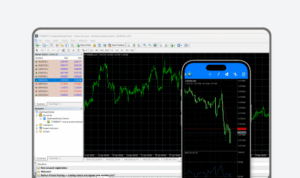 Trade Major, Minor & Exotic Currency Pairs in Forex